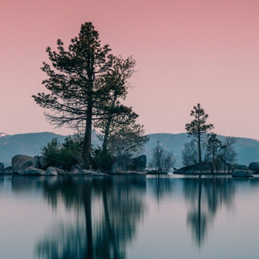 Christopher Bauer - Stellvertretender Leiter - UKD | XING