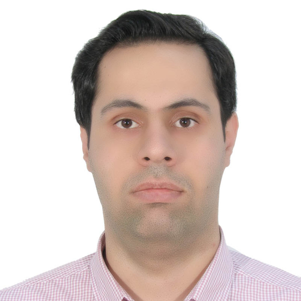 Mahdi Ghasemi - Web Developer - National Iranian Oil Company | XING