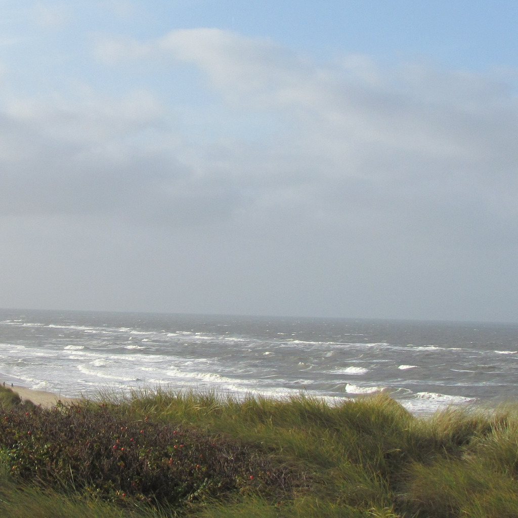 Anas Müller - Manager - NEW Netz GmbH | XING