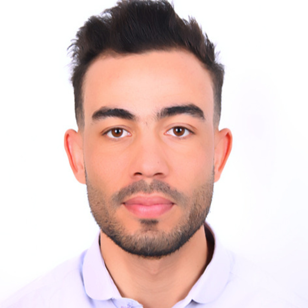 Mohamed Hedi Nasri - Elektriker - General Electrical and Safety Equipment (GEES) | XING