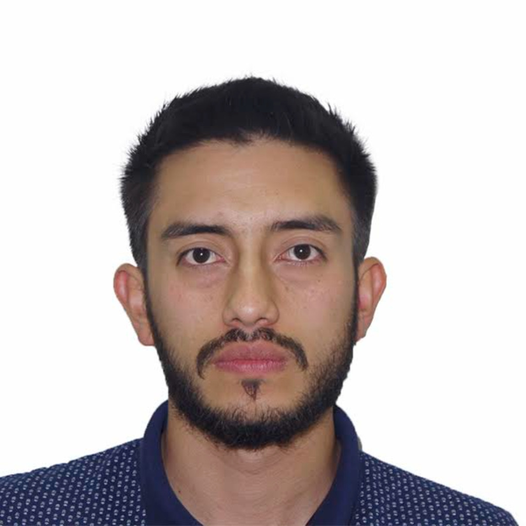 David Alejandro Antolínez S. - Junior Service Engineer - Netdatanetworks | XING