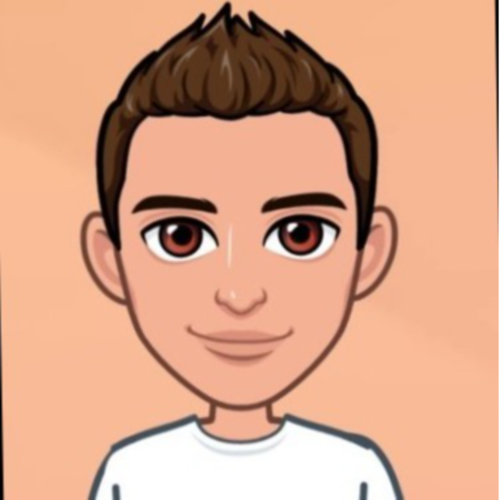 Predrag Ilic - IT Consultant - IT | XING