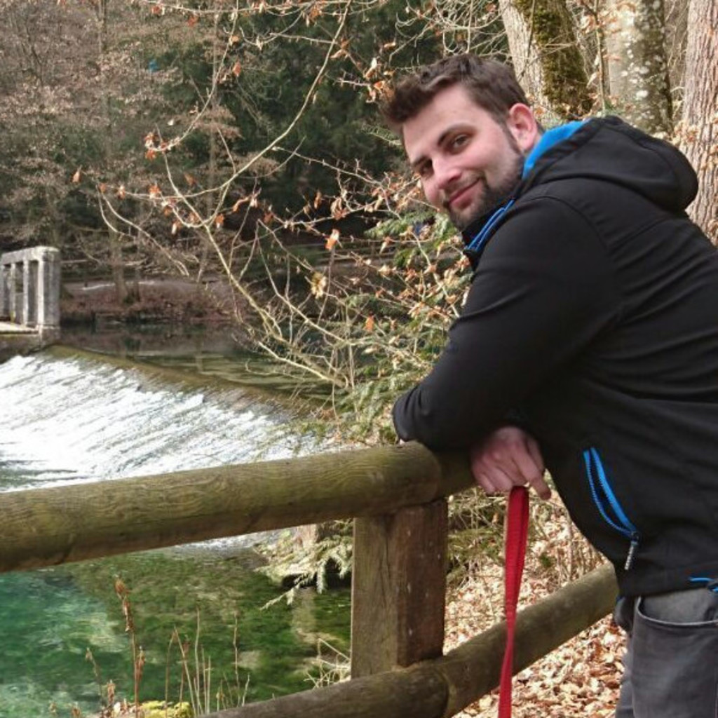 Daniel Flaig - Teamleiter Bordnetzentwicklung - Asap Engineering GmbH ...