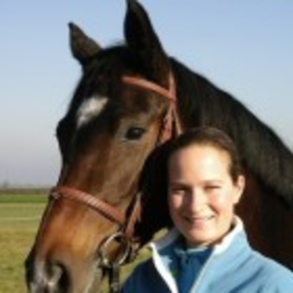 Brigitte Brosig-Nosko - Geschäftsführerin - Mag. Brigitte Brosig-Nosko | XING