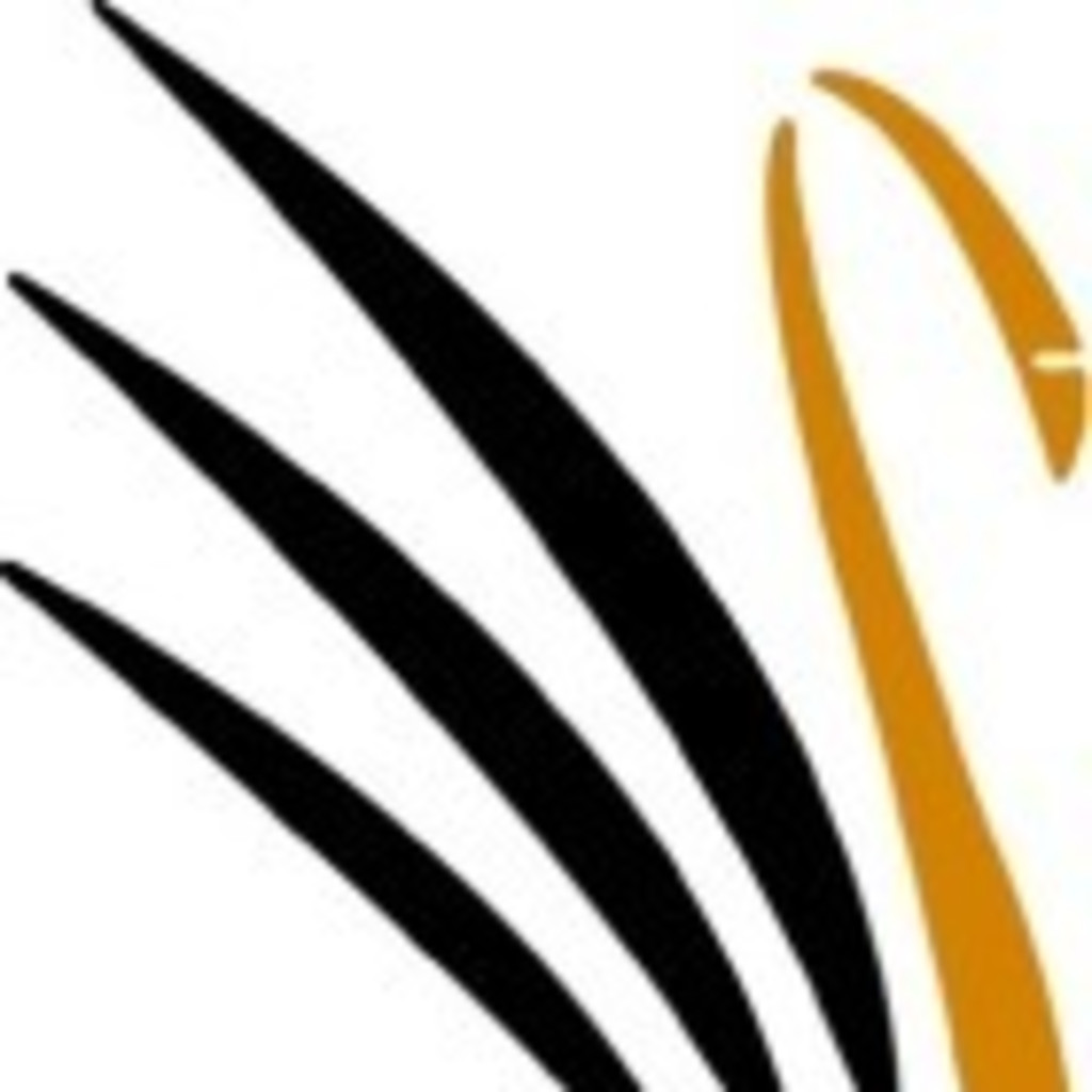 Tim Ackroyd - Executive Search Consultant - Swann Global | XING