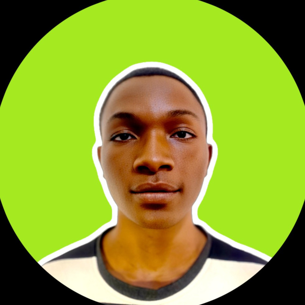 Micheal Iluyomade - freelance website designer - Ecommerce Website Developer | XING