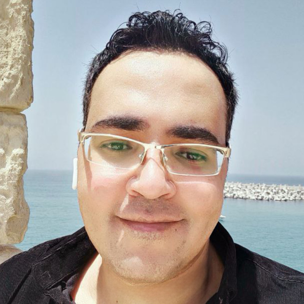 Ayman Amer - Business Intelligence Analyst - Master Works | XING