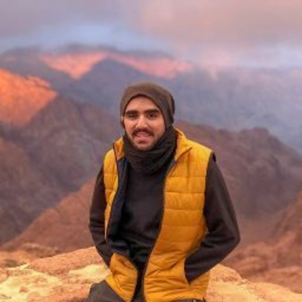 Ibrahim Ayed - Frontend Developer - Sherzal Technologies | XING