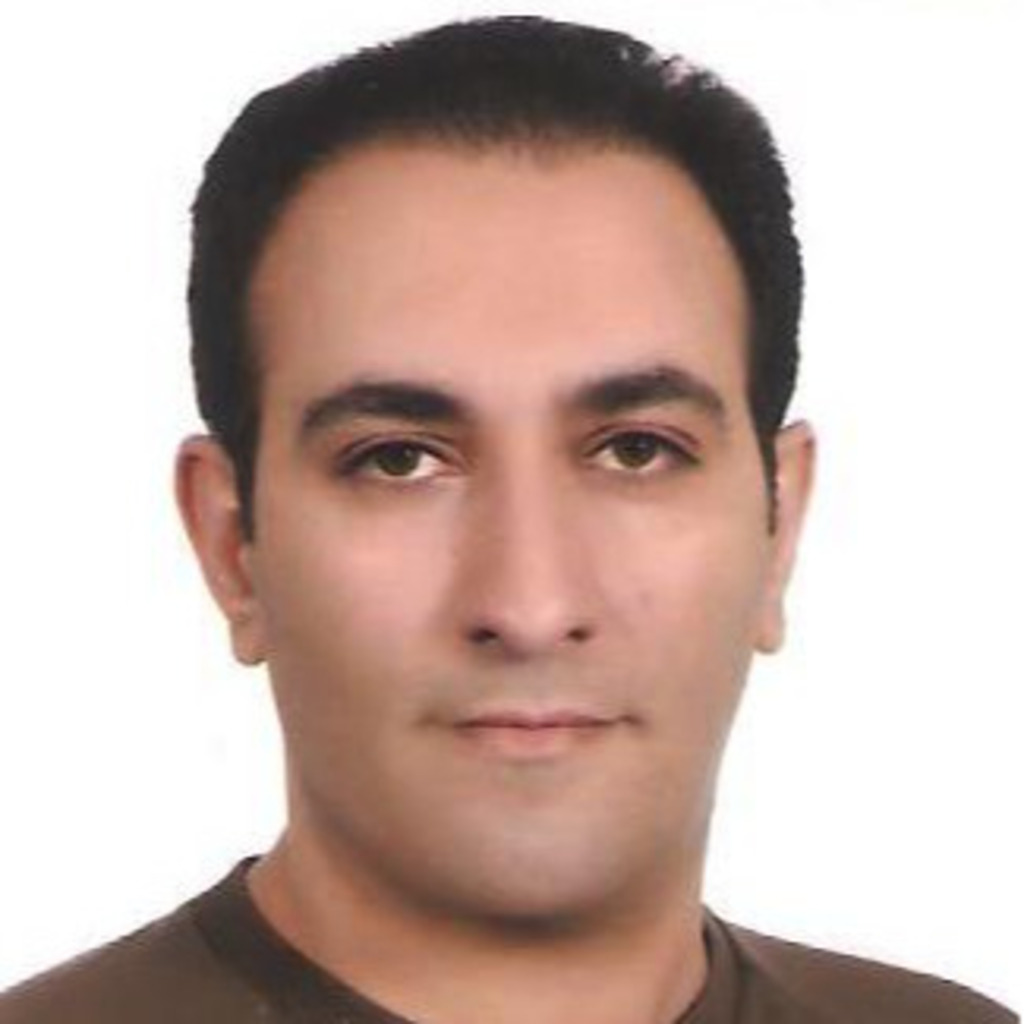 Ramin Maleki - SAP FICO Consultant - Elektro peyk | XING