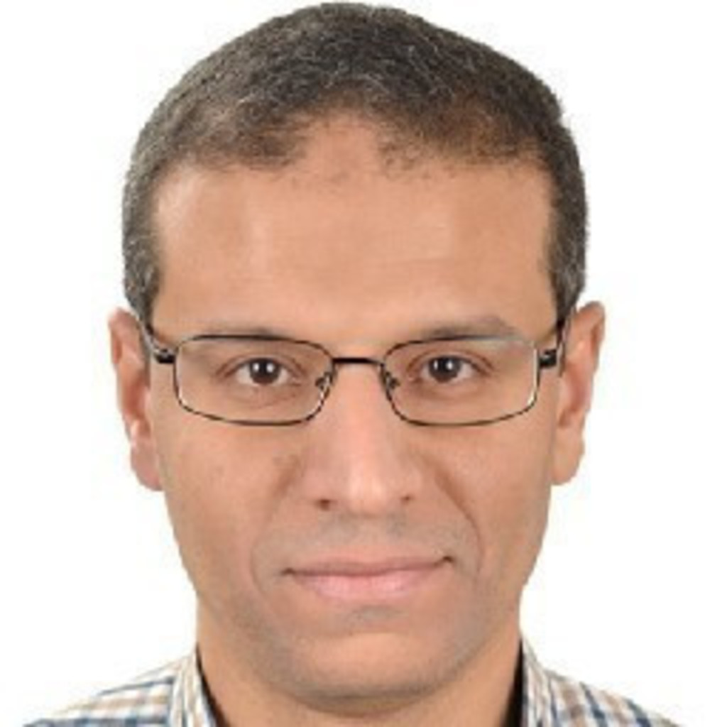 Dr. Ahmed Zayed - Postdoctoral Researcher - TU Kaiserlautern | XING