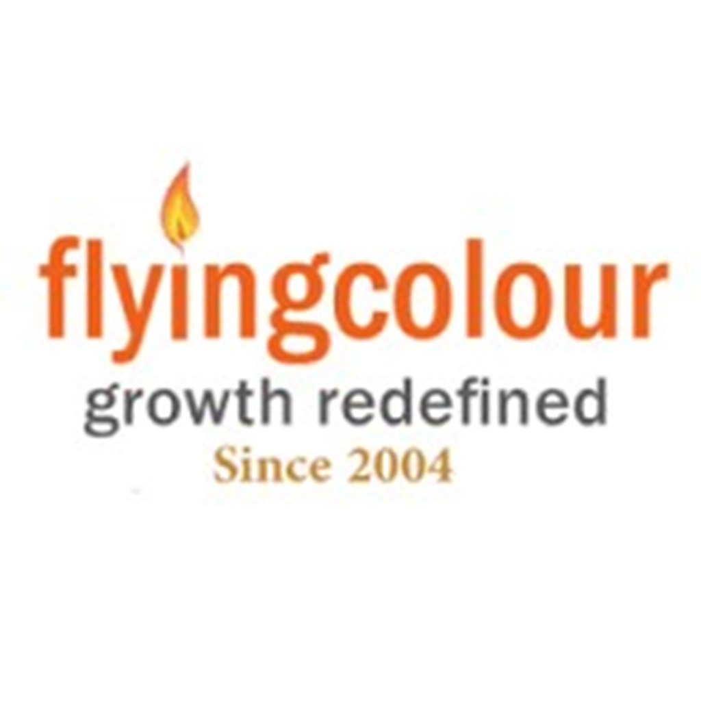 Flying Colour - Business Consultant - Flying Colour Business Setup ...