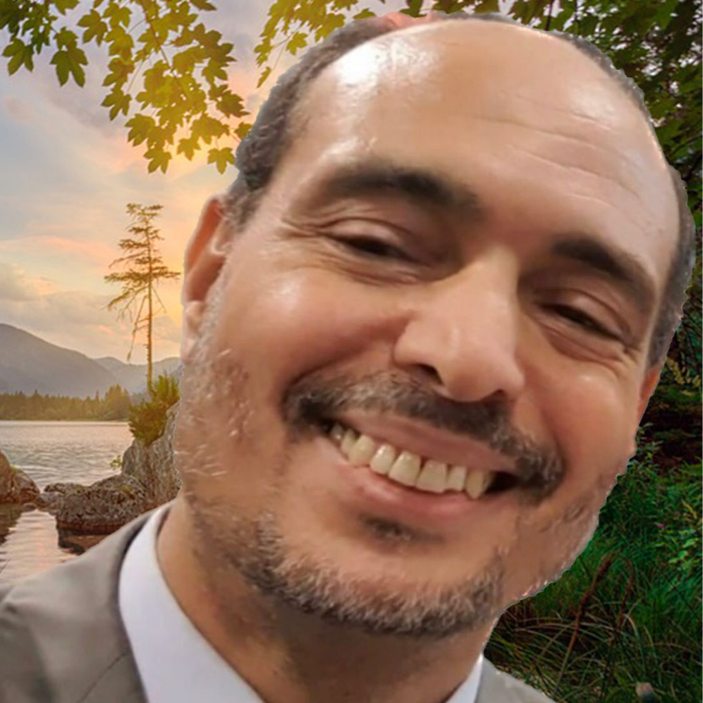 Dipl Ing Hassan Kroud Senior Softwareentwickler Freiberuflich