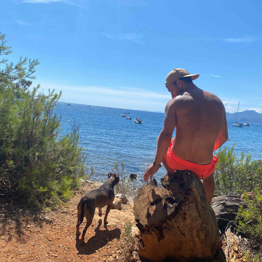 Christopher Wild - Business Administration - Frankfurt School of ...