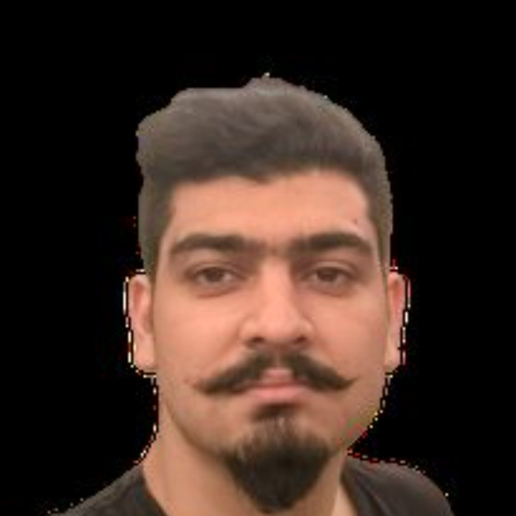 masood hazarti - Frontend Developer - SISHEMI | XING