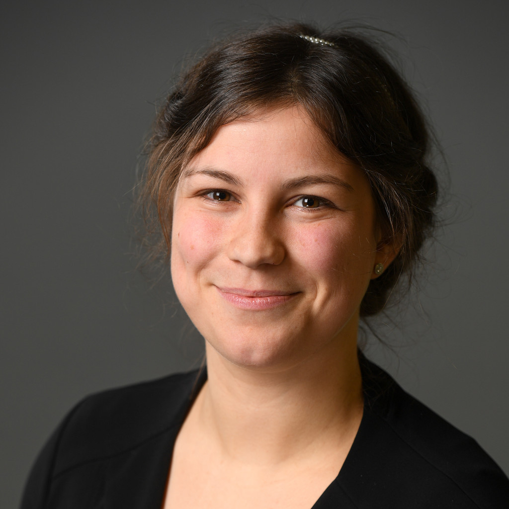 Mareike Theis - Wirtschaftsmediation - DIU - Dresden International ...