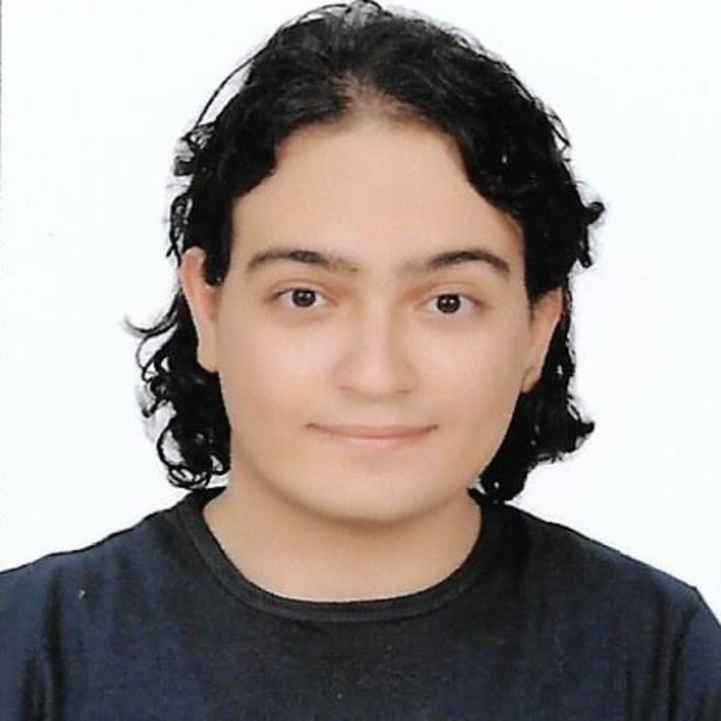 Youssef Daoud - Health informatics - Technische Hochschule Deggendorf | XING