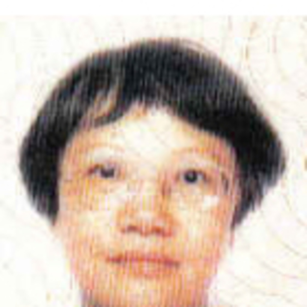 Lian Zhen: Ausbildung und Berufserfahrung | XING