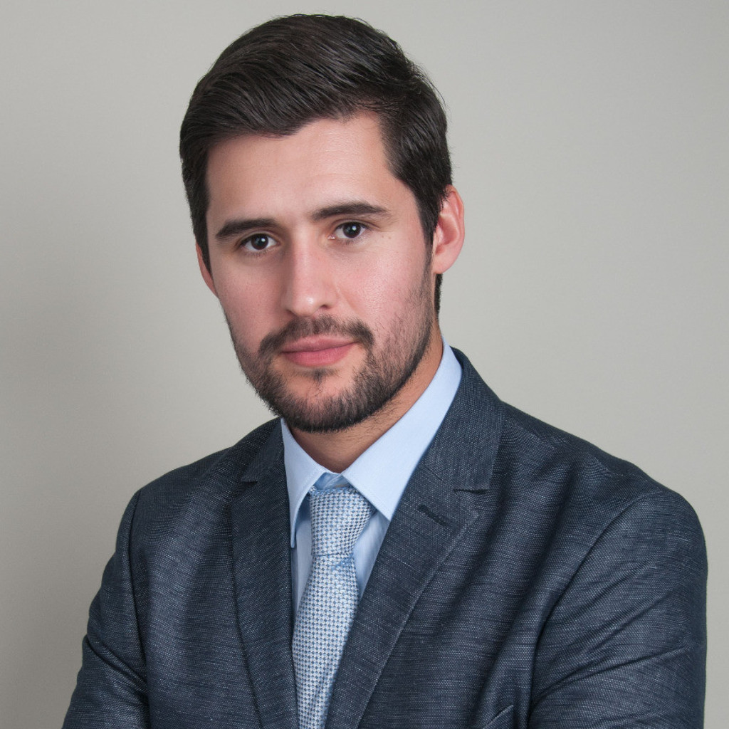 Victor Daniel Quinteros - SAP EDI Business Consultant - Freudenberg ...