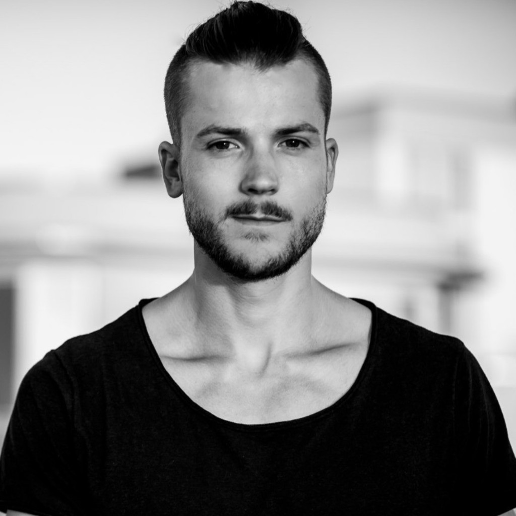 Daniel Hartmann - Digital Management & Transformation - SRH ...