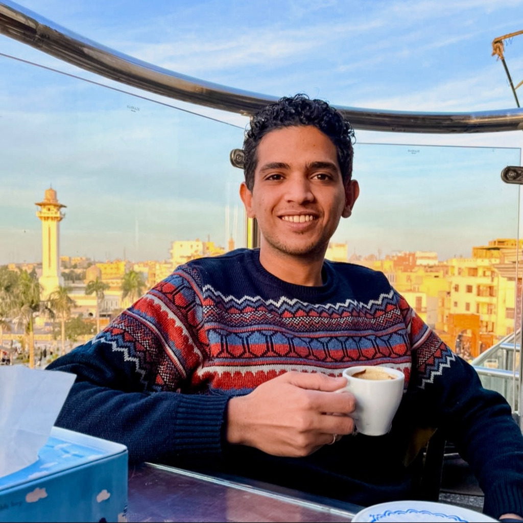 Mohamed ElSisi - Team Leader - Team Leader | XING