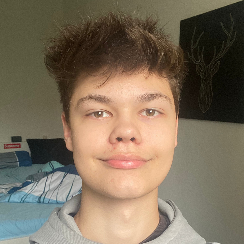 Lukas Hammer - Mathematik - TU Dresden | XING