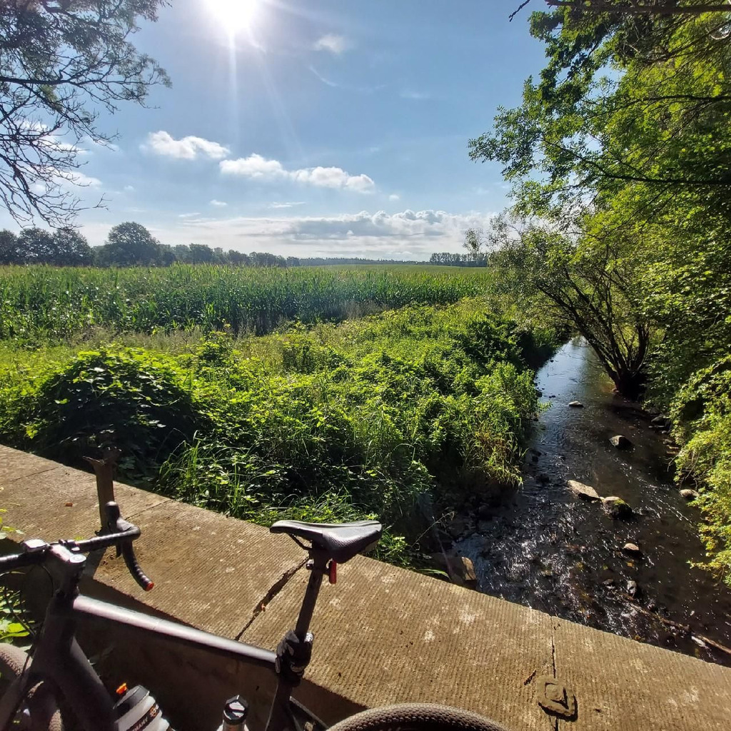 Sönke Schech - Qualifizierter Leiter Logistik - STERNPARTNER GmbH & Co ...
