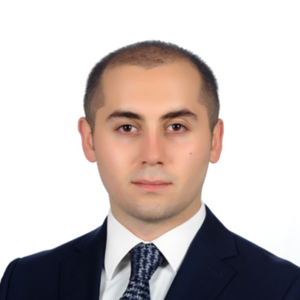 MERT AKSU - M&A Transaction Services Analytics Senior Consultant ...