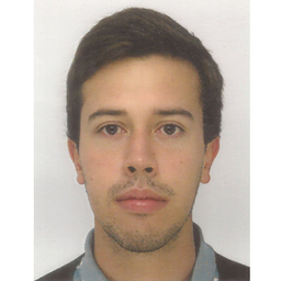 Dr. Sergio Rodríguez Cadavid - Development Engineer - TWT GmbH Science & Innovation | XING