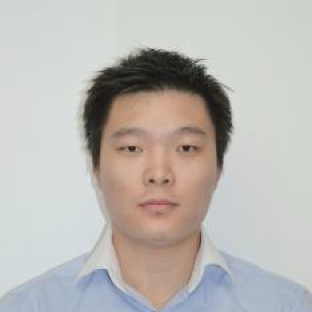 Chao ZHENG - Consultant informatique - Capgemini | XING