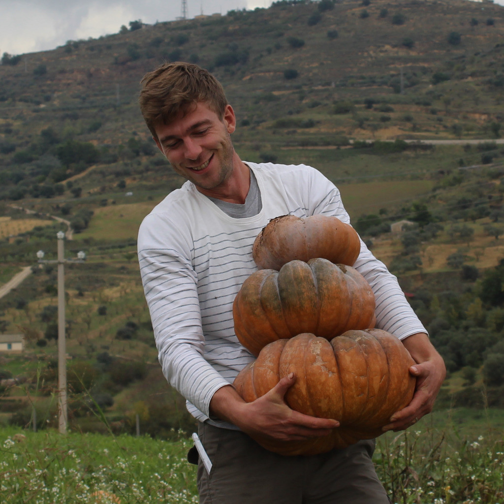 Wieland Philipp - Hydrologe - Wieland Philipp | XING