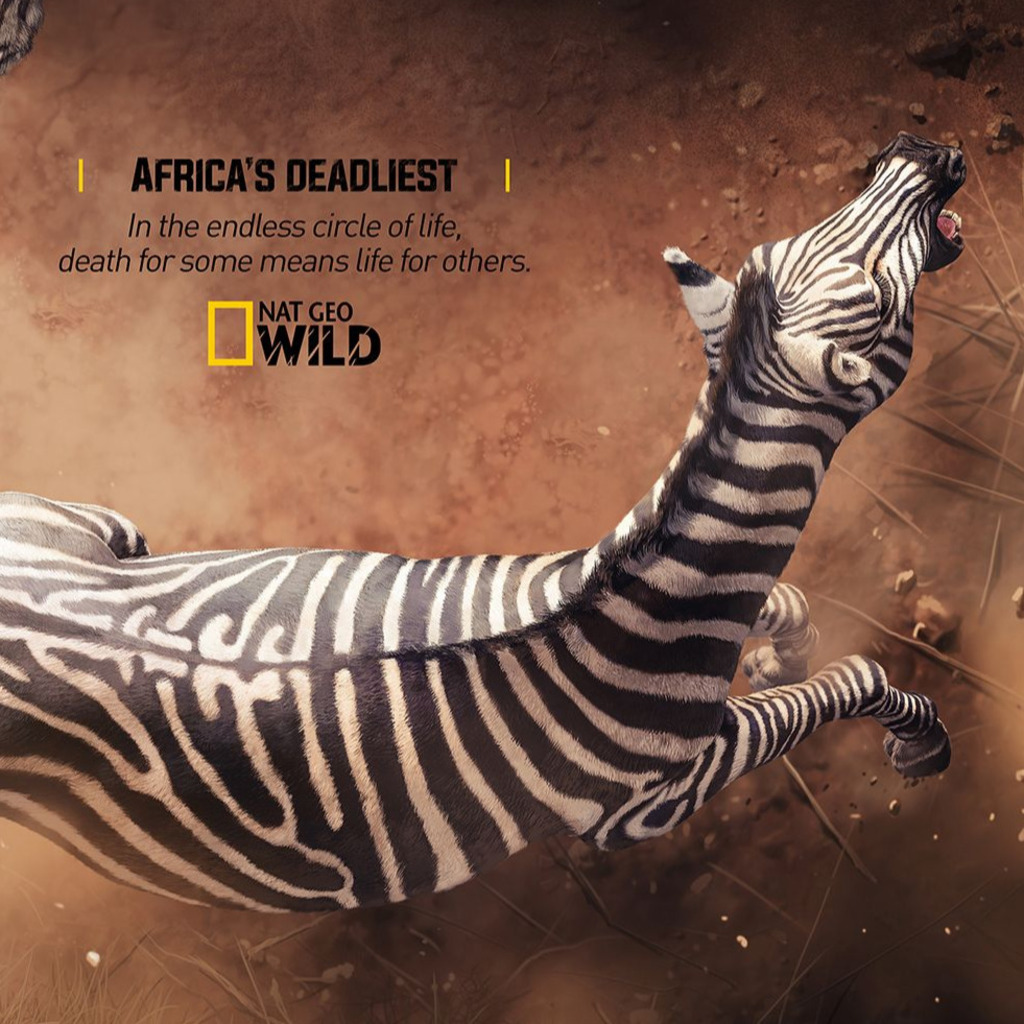 AZERTY UIOP - FDDFDF - DFDFDFD | XING