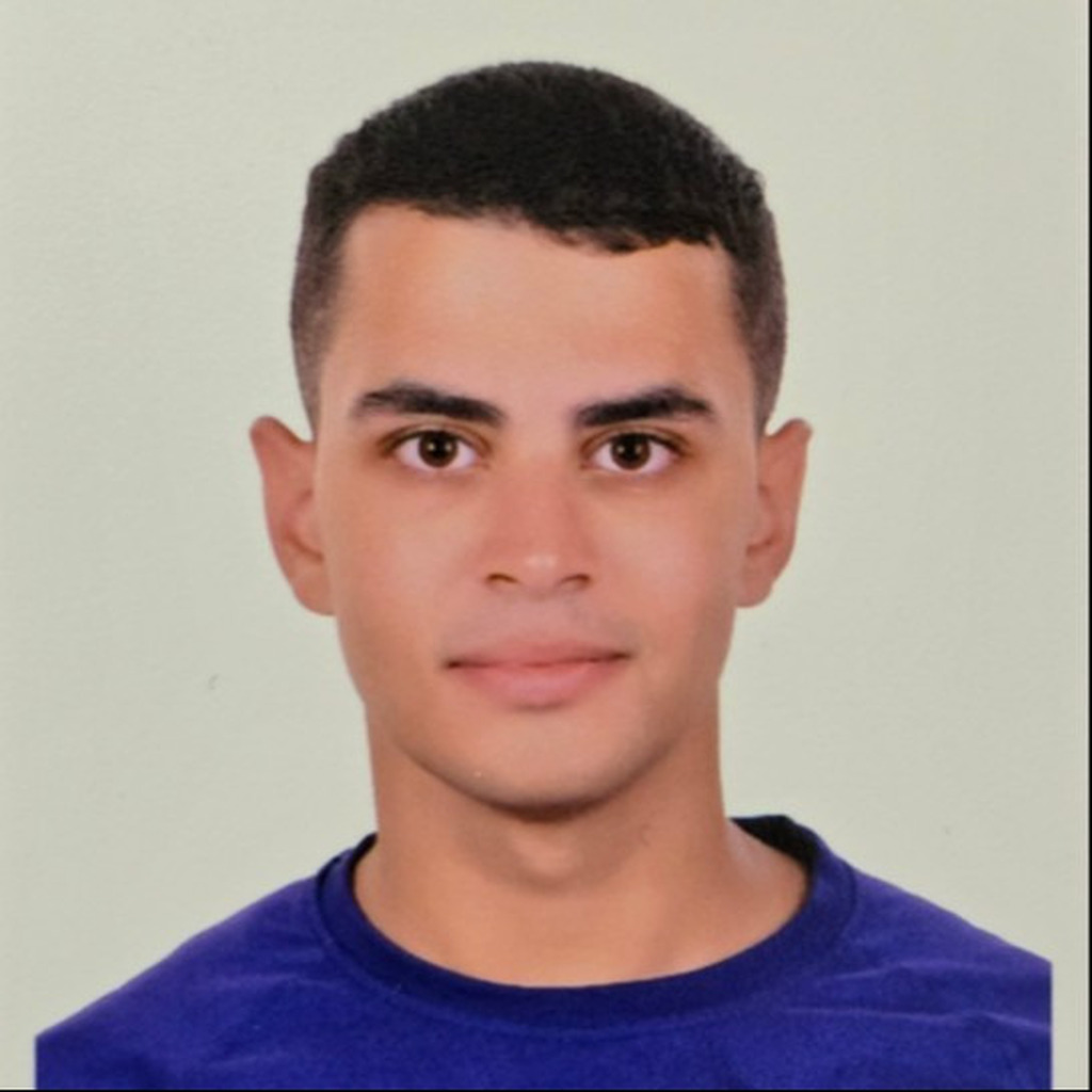 Noureldin Awad - DevOps Engineer - Gameball | XING