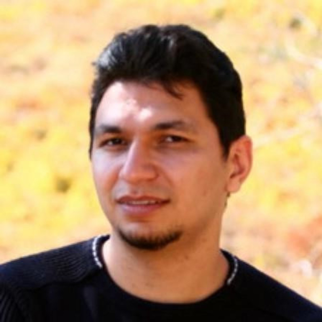 Arash Yegane Rad - Full-Stack Java developer - National organization for civil registration | XING