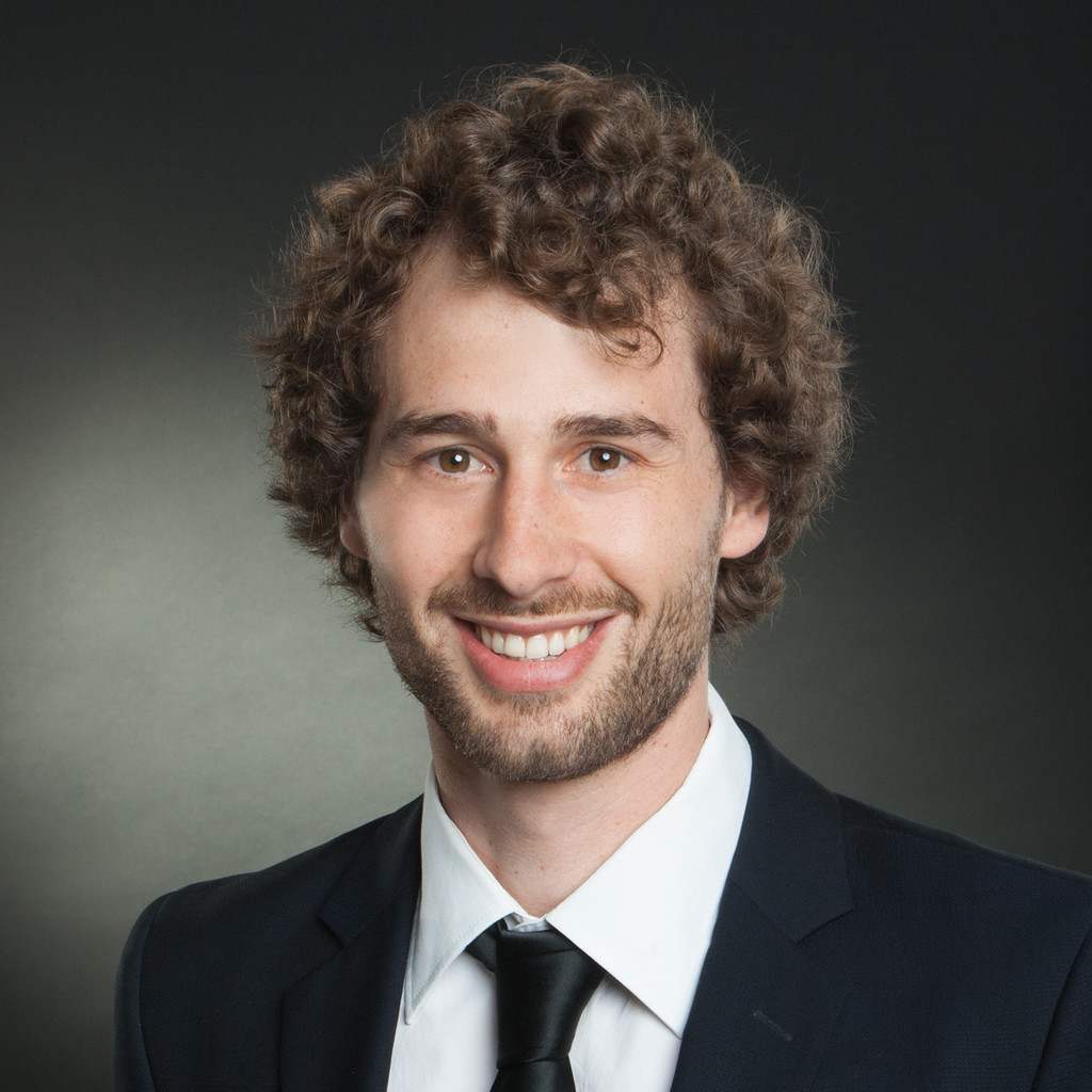 Christian Brunner - Business Consultant - BearingPoint | XING