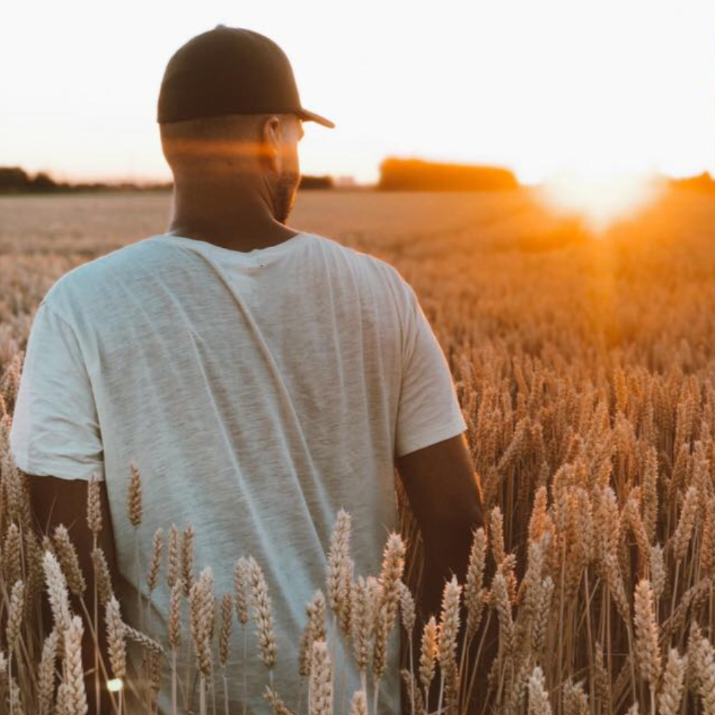 Michael Schrepfer - Kaufmännischer Sachbearbeiter - Debeka | XING