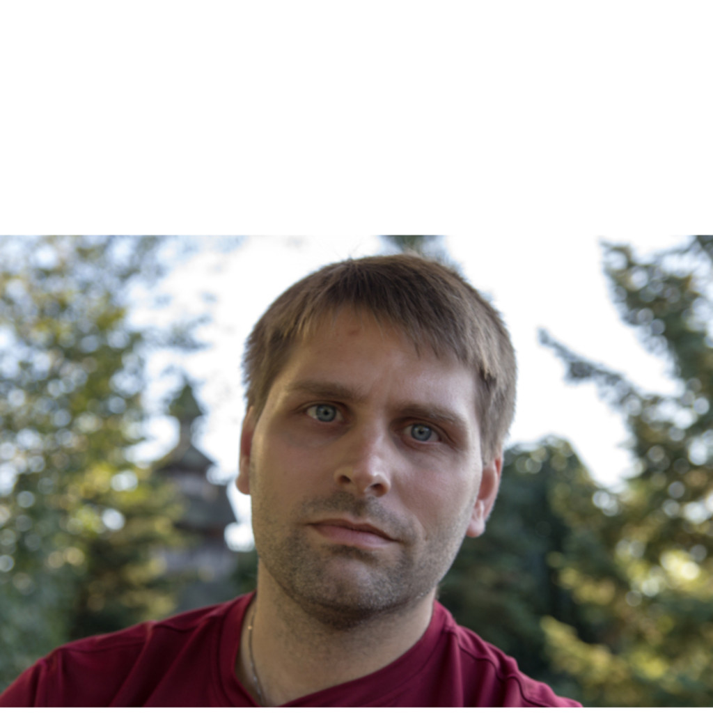 Peter Flach - Application Architect - PHOENIX group IT GmbH | XING