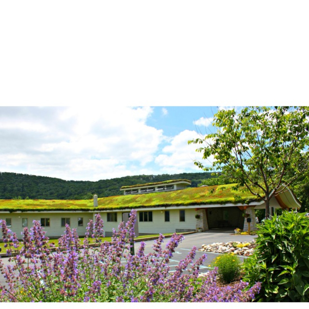 Joanne Gallagher - Craniosacral Practitioner - Life Expression Wellness ...