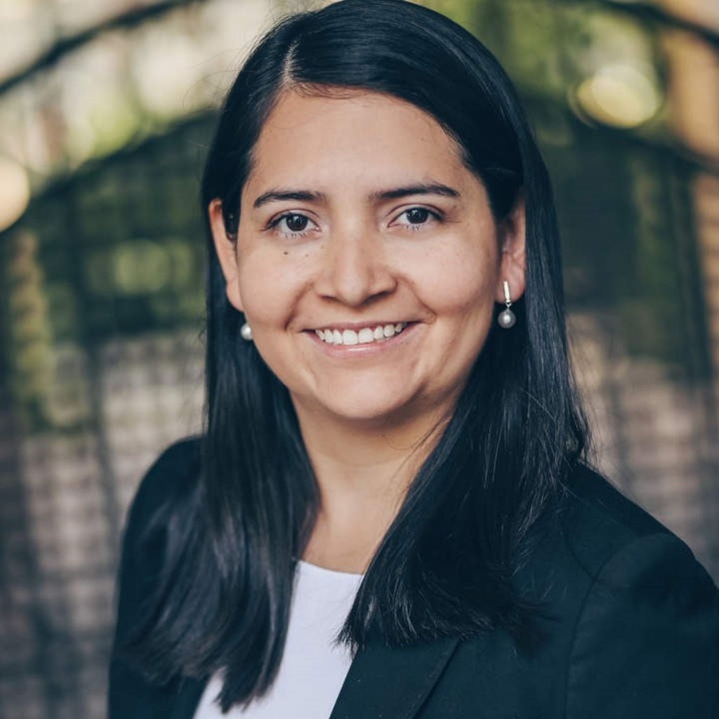 Yuly Charry - Proposal Manager - DERMALOG Identification Systems GmbH ...