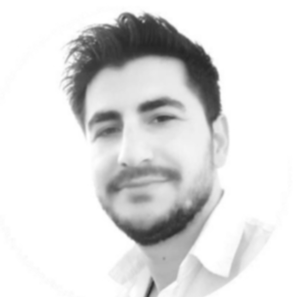 Momcilo Milic Data Analyst Xing