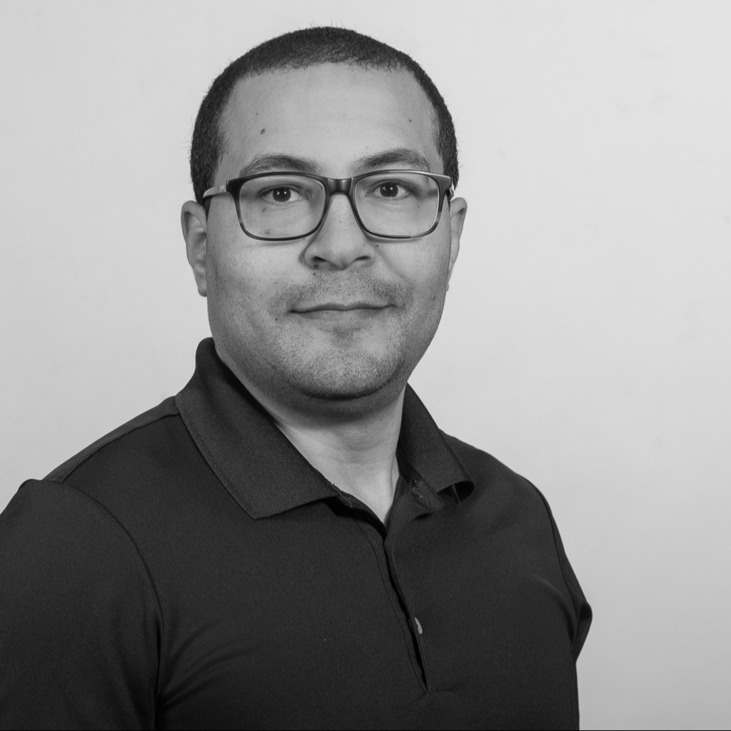 Mahmoud Moussa: Ausbildung und Berufserfahrung | XING