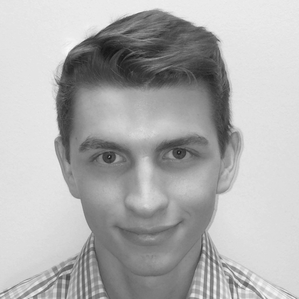 David Schober - IT-Projektleiter - Witt-Gruppe | XING