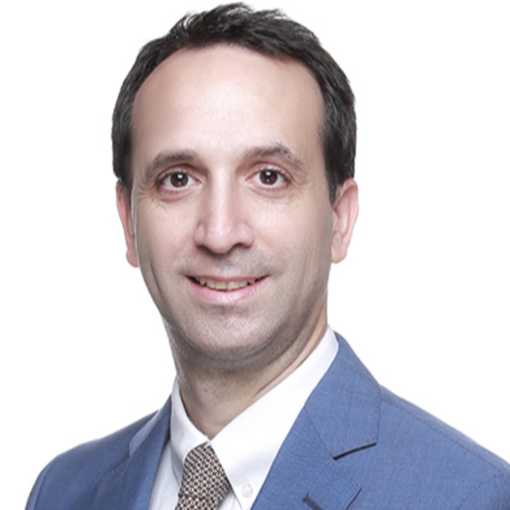 Dipl.-Ing. David Castell - Director Business Development & Marketing | VP Transformation - HBPO ...