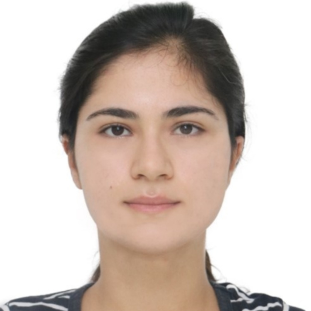 Ceren Yaşar - Software Engineer - SOFTTECH | XING