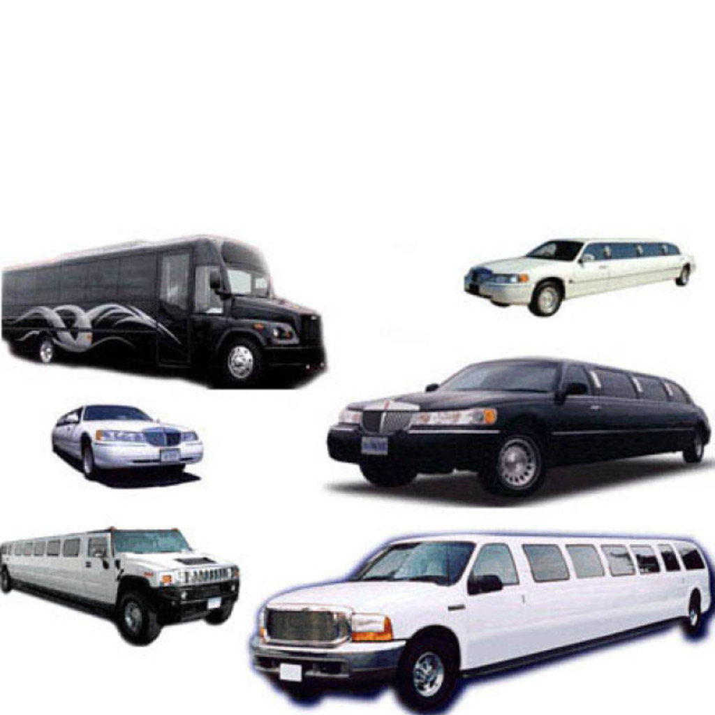 Mike Taylor - Owner - Atlanta VIP Ride,Limousine Service | XING