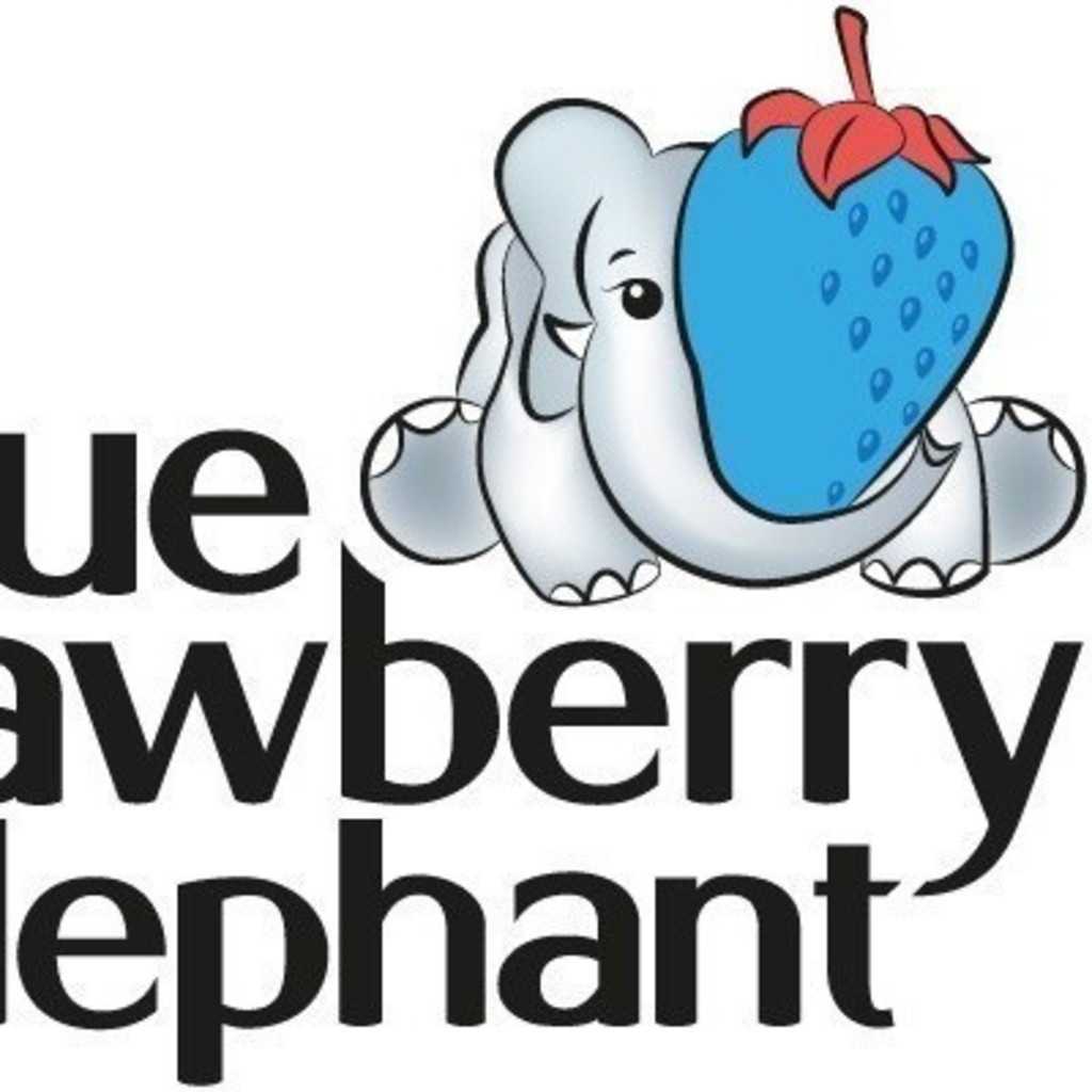 joss wilson - Graphic Designer - Blue Strawberry Elephant | XING