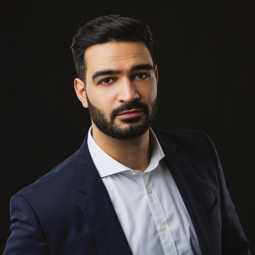 Hesam Hamidi - Consultant - Page Personnel | XING