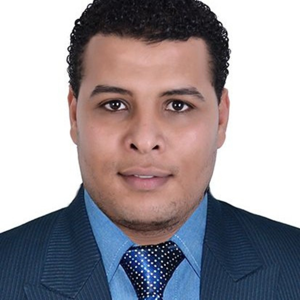 Ahmed Azzaz - Network Security Consultant - Honeywell International | XING