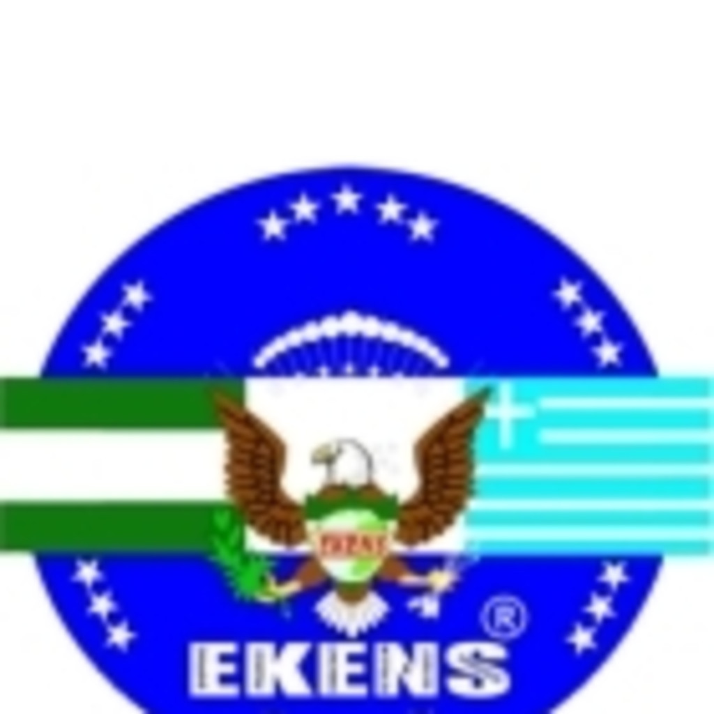 ekens azubuike - SHIPPING IMPORT-EXPORT/ INTERNATIONAL BUSINESS BUREAU ...