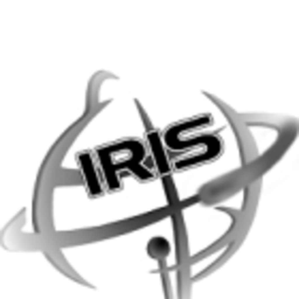 Federico Streibl - CEO - IRIS SRL | XING