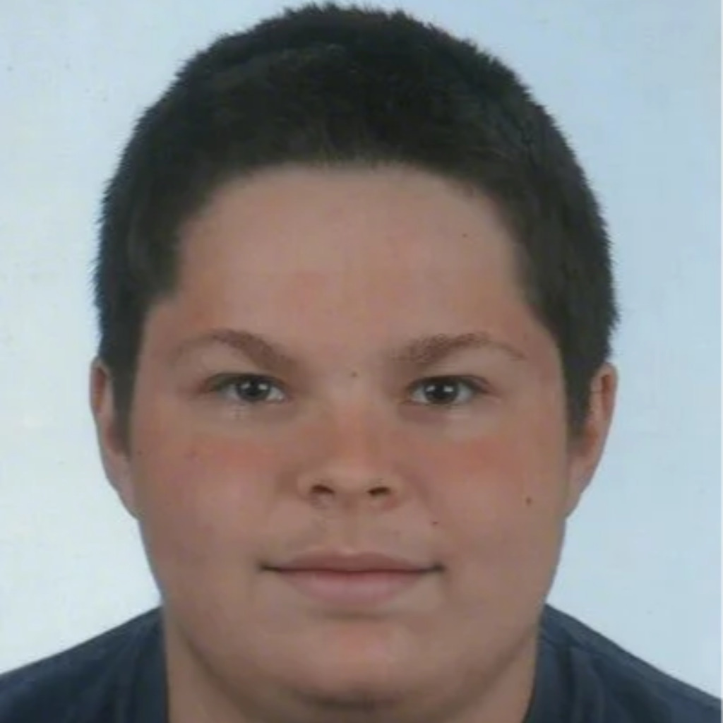 Andreas Fischer - Fachinformatiker Systemintegration - Gasser ...